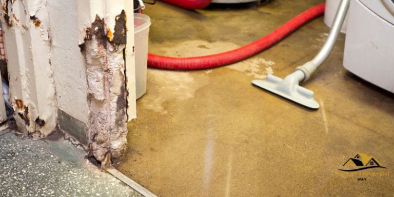 How to Restore Particle Board after Water Damage: Expert Guide