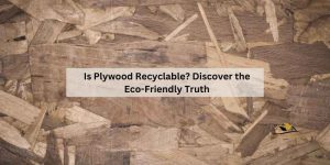 Is Plywood Recyclable? Discover the Eco-Friendly Truth