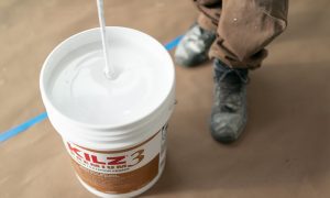 Waxed Vs Dewaxed Shellac: Which is Right for You? – Home Improvement Way