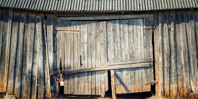 How To Build Doors For Sheds: A Simple DIY Guide