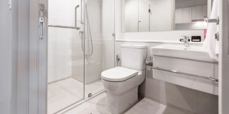 Have you ever wondered where toilet waste goes?