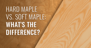 Hard Maple Vs Soft Maple Trees: Key Differences Explained