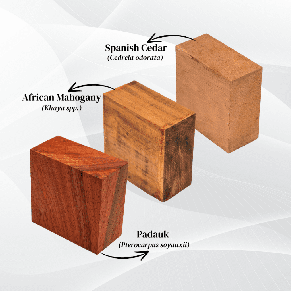 Cedar Vs Cypress Wood: Which Is Better For You?