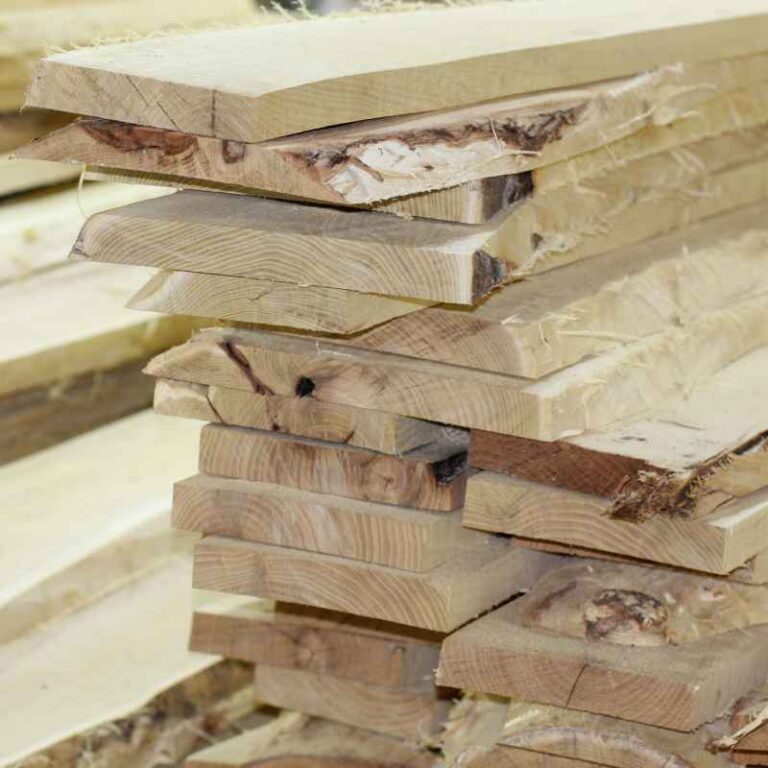 5 Differences Between Hardwood And Softwood You Should Know